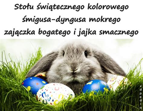 Sto U Wi Tecznego Kolorowego Migusa Dyngusa Xdpedia