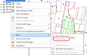 Arcgis Desktop Exporting Layer From ArcMap With Detail Geographic