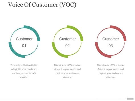 Voice Of Customer Voc Template Ppt Powerpoint Presentation Model Summary