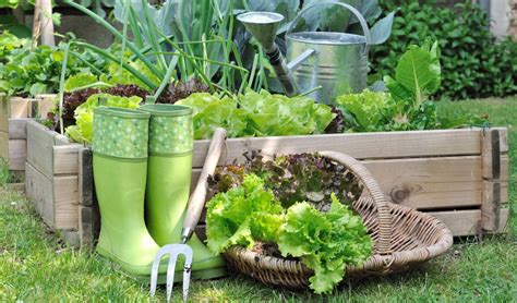Comment bien préparer son potager avant la plantation