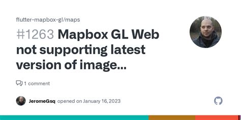Mapbox GL Web Not Supporting Latest Version Of Image Package 4 X X