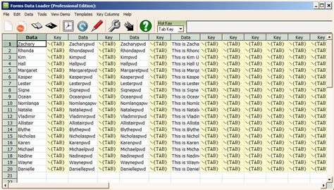 using data loader