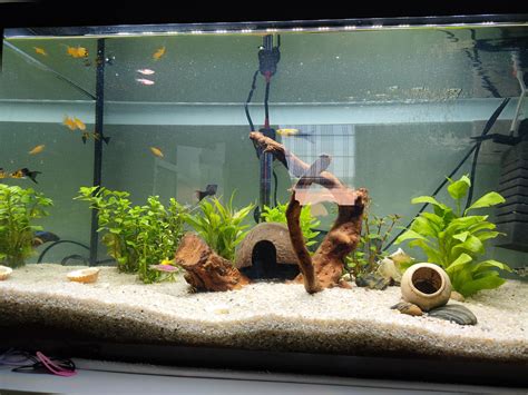 Akwarium Aquael 100 l Toruń OLX pl