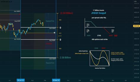 Gamma TradingView