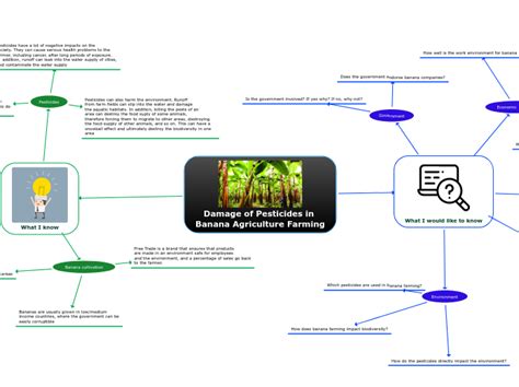 Damage Of Pesticides In Banana Agriculture Mind Map