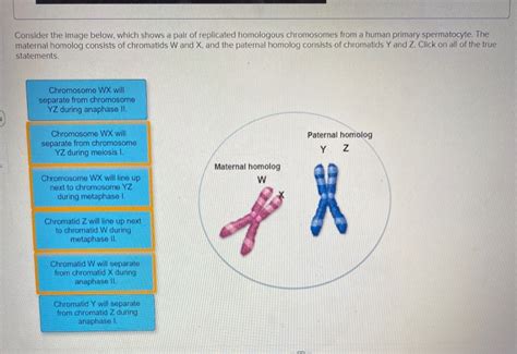 Solved Consider The Image Below Which Shows A Pair Of Chegg
