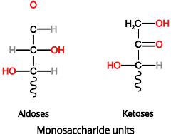 Aldose Vs Ketose Structural Isomeric Monosaccharides PSIBERG