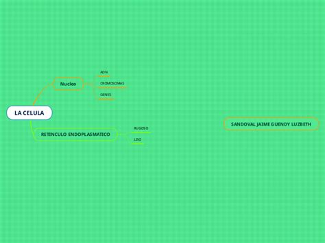 La Celula Mind Map