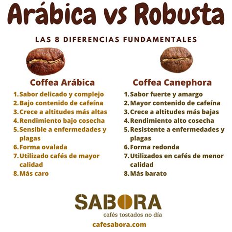 Tipos de granos de café SABORA Cafés Tostados no día