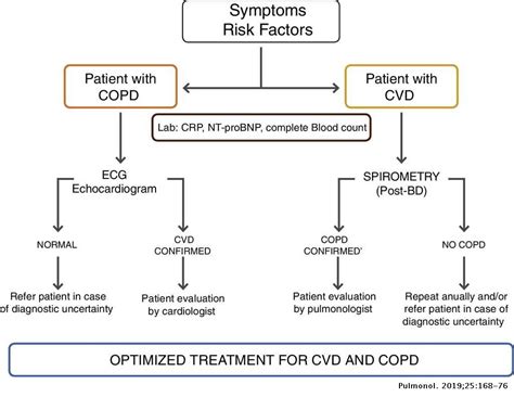 copd and cardiovascular disease pulmonology