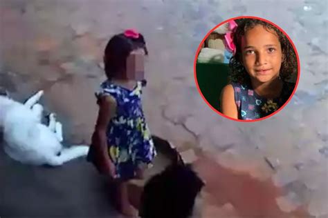 Caso Ana Sophia polícia confirma que menina entrou na casa de suspeito