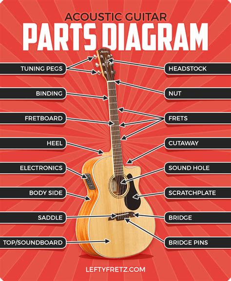 Parts Of A Guitar Explained Acoustic Electric Diagrams