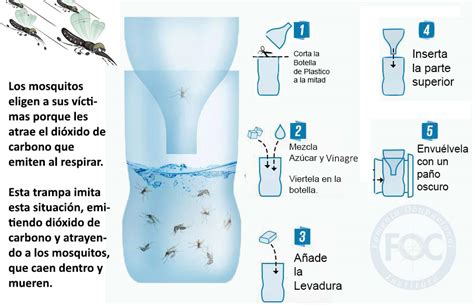 Cómo construir una trampa eficaz contra los mosquitos Instituto FOC