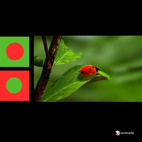 Decorando Con Esquemas De Color Esquemas Complementarios Y Hot Sex