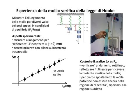 Esp Molla Legge Di Hooke Esperienza Della Molla Verifica Della