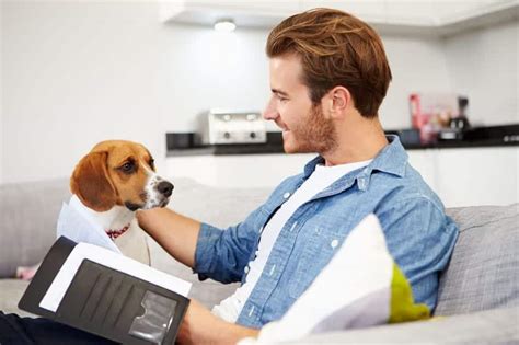 Comment Choisir Le BON Chien Celui Fait Pour Moi Et Mon Style De Vie