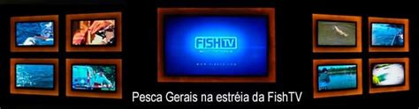 Pescaria de Robalo dicas e informações para ter sucesso