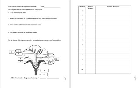 Solved Plant Reproduction And Development Worksheet Chegg