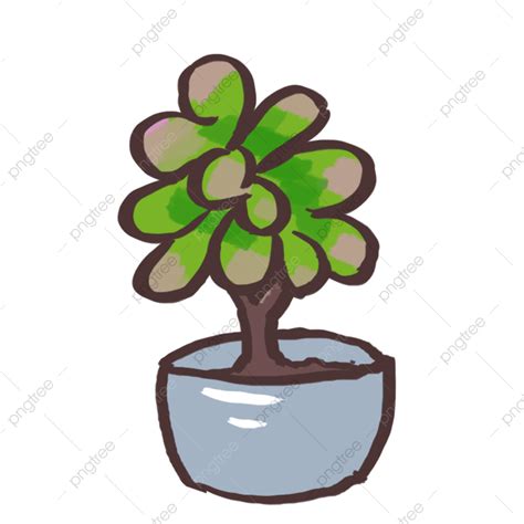 Plantas En Macetas Png Plantas Verdes Planta Plantas En Macetas Png