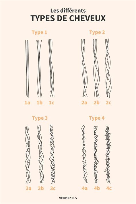 4 types de cheveux Différents types de cheveux Types de cheveux