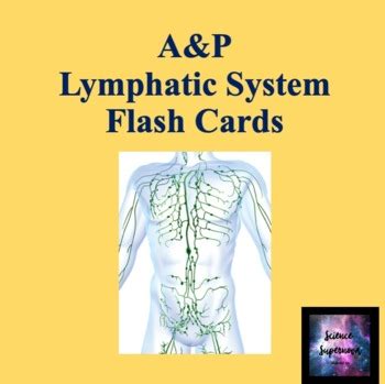 Lymphatic System Flash Cards By Science Supernova TpT