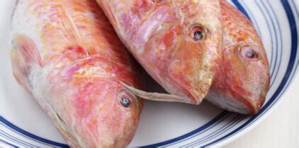 Filets de rougets marinés facile découvrez les recettes de Cuisine