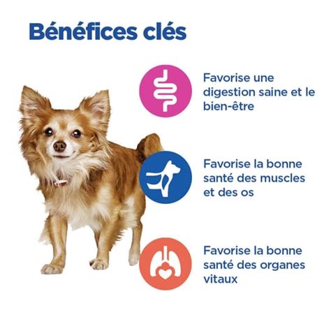 Hill S Vet Essentials Multi Benefit Croquettes Pour Chien Adulte 1 6