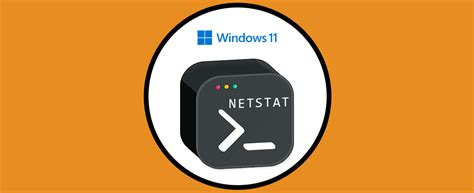 C Mo Usar El Comando Netstat Solvetic
