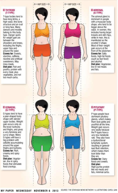 Pin On Body Types