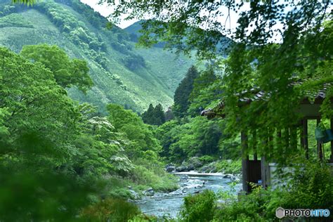 新緑の御岳渓谷 by カニサガ ID6727345 写真共有サイト PHOTOHITO