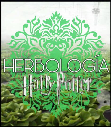 HERBOLOGÍA PARTE 1 Harry Potter Español Amino