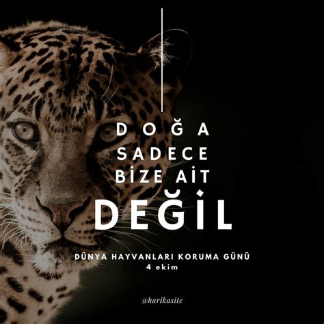 Ücretsiz ve Yazdırılabilir hayvanları koruma günü Şablonları Canva