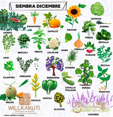 Details 48 árboles frutales nombres Abzlocal mx