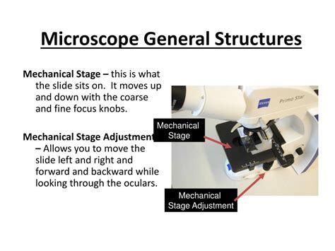PPT Introduction To The Microscope PowerPoint Presentation Free