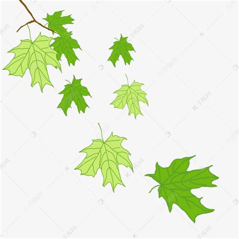 手绘漂浮的绿色的梧桐树叶素材图片免费下载 千库网