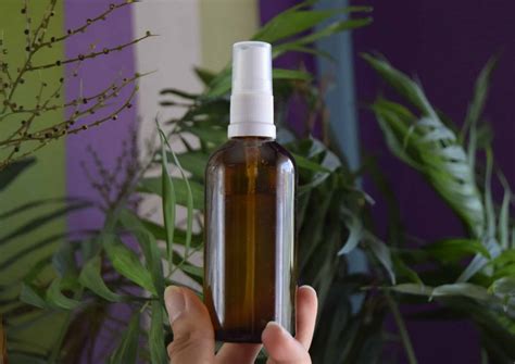 Easy DIY Mosquito Repellent With Vinegar Essential Oils 2024