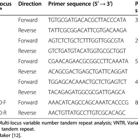 representative multi locus variable number tandem repeat analysis download scientific diagram