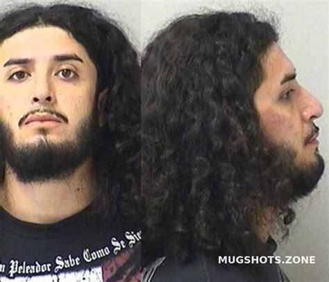 GOMEZ IVAN 02 10 2024 Kane County Mugshots Zone