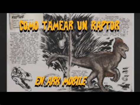 Como Tamear Un Raptor En Ark Mobile Youtube