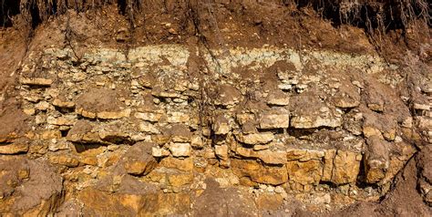 Académica imparte el curso Rocas sedimentarias Fundación Carlos Slim