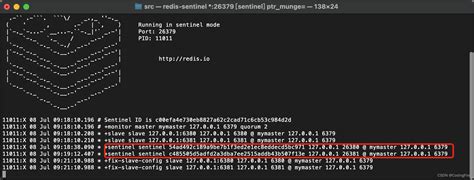 java开发 深入理解redis哨兵机制原理 java redis 哨兵模式 csdn博客