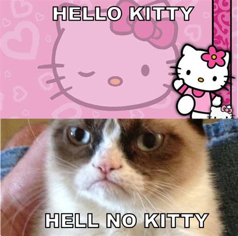 17 Funny Hello Cat Memes Factory Memes Images And Photos Finder