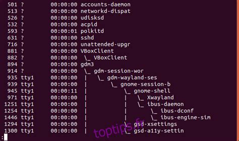 Comment Utiliser La Commande Ps Pour Surveiller Les Processus Linux