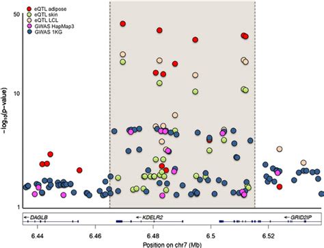 regional plot of expression quantitative trait loci eqtl and download scientific diagram