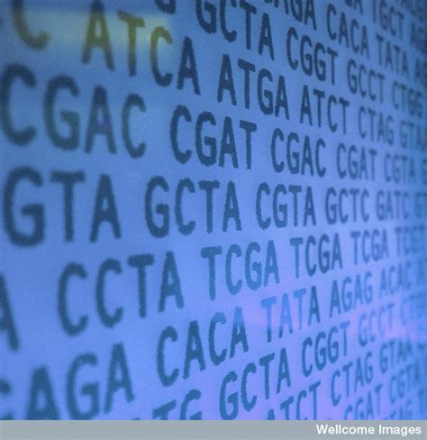 Genome Naked Scientists