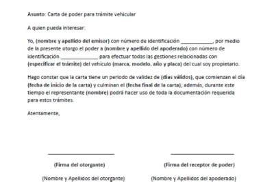 Carta Poder Simple Para Tr Mites Vehiculares Modelo Canvas
