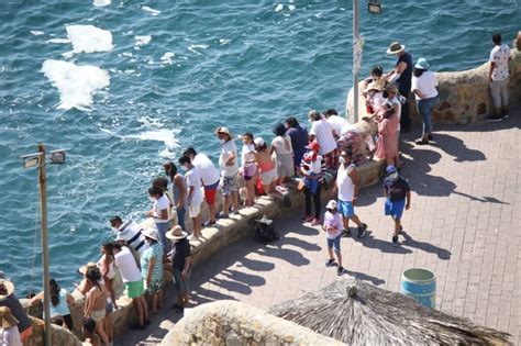 Registra Acapulco ocupación hotelera de 25 7 por ciento El Sol de