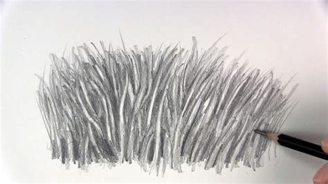 How To Draw Realistic Grass That S Ready To Be Seen Let S Draw Today