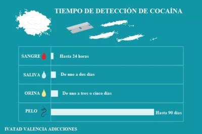 Perico droga descubre cuánto tiempo dura en tu cuerpo y cómo afecta tu