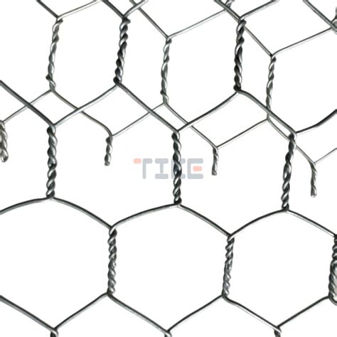 Galvanized Poultry Fish Pot Wire Galvanized Iron Hexagonal Chicken Wire